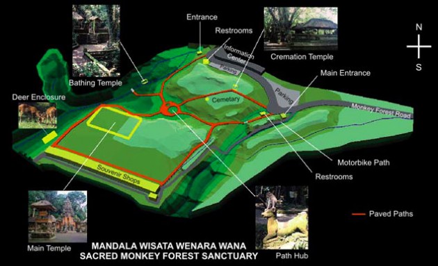 Monkey Forest Ubud (Bali)