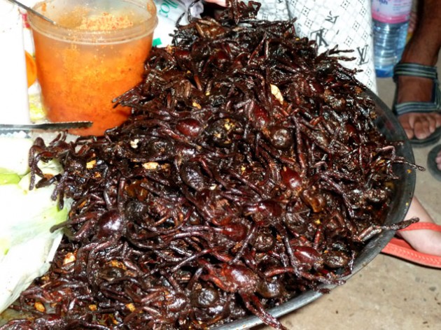 Comer arañas (Gastronomía Camboya)