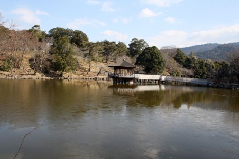 Nara Koen (Japon) Parque de Nara con centenares de ciervos
