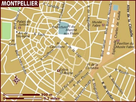 Montpellier (Francia) Informacion y Mapa