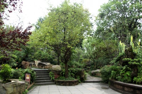 Templo de Wuhou (Chengdu) Religión y naturaleza