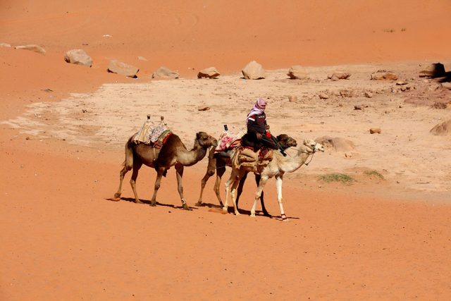 Ruta por Jordania ..10 días por libre con niños , itinerario ,mapas e info